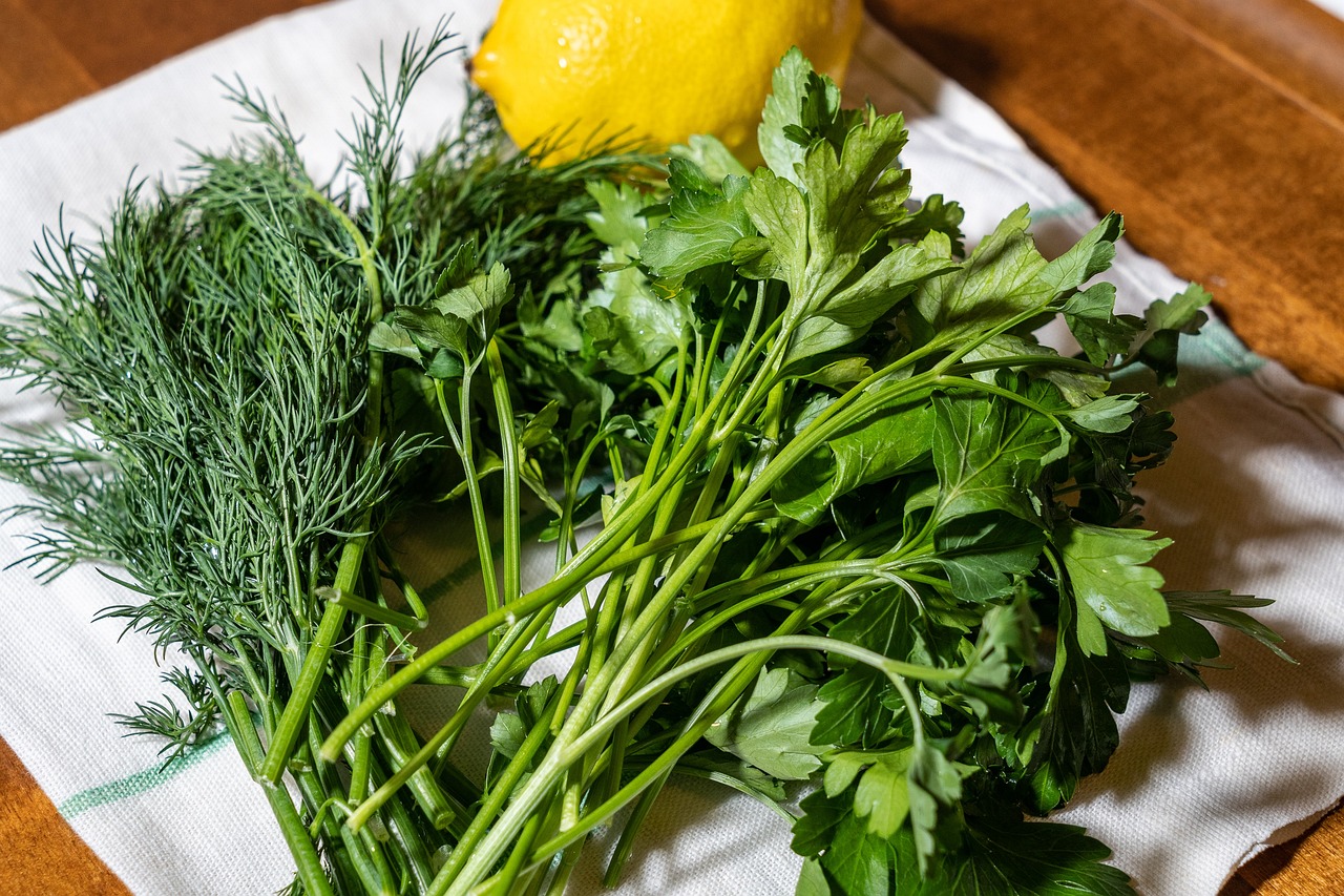 Придобивките од магдоносот се поголеми отколку што мислите - МКД.МК